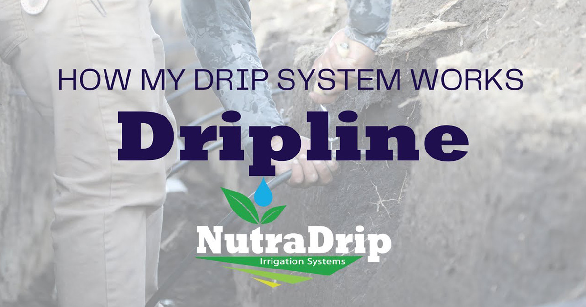 The Basics of Drip Lines for NutraDrip: A Guide for Midwest Growers ...