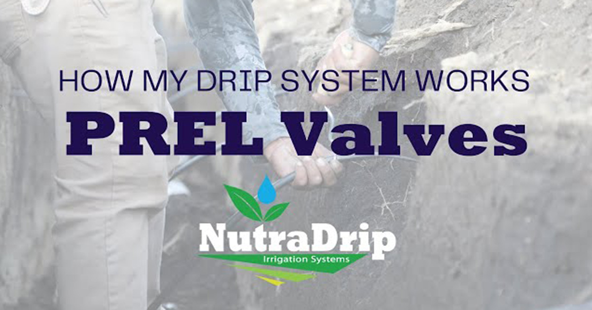 Mastering Pressure Regulating Valves for Optimal Drip Irrigation ...